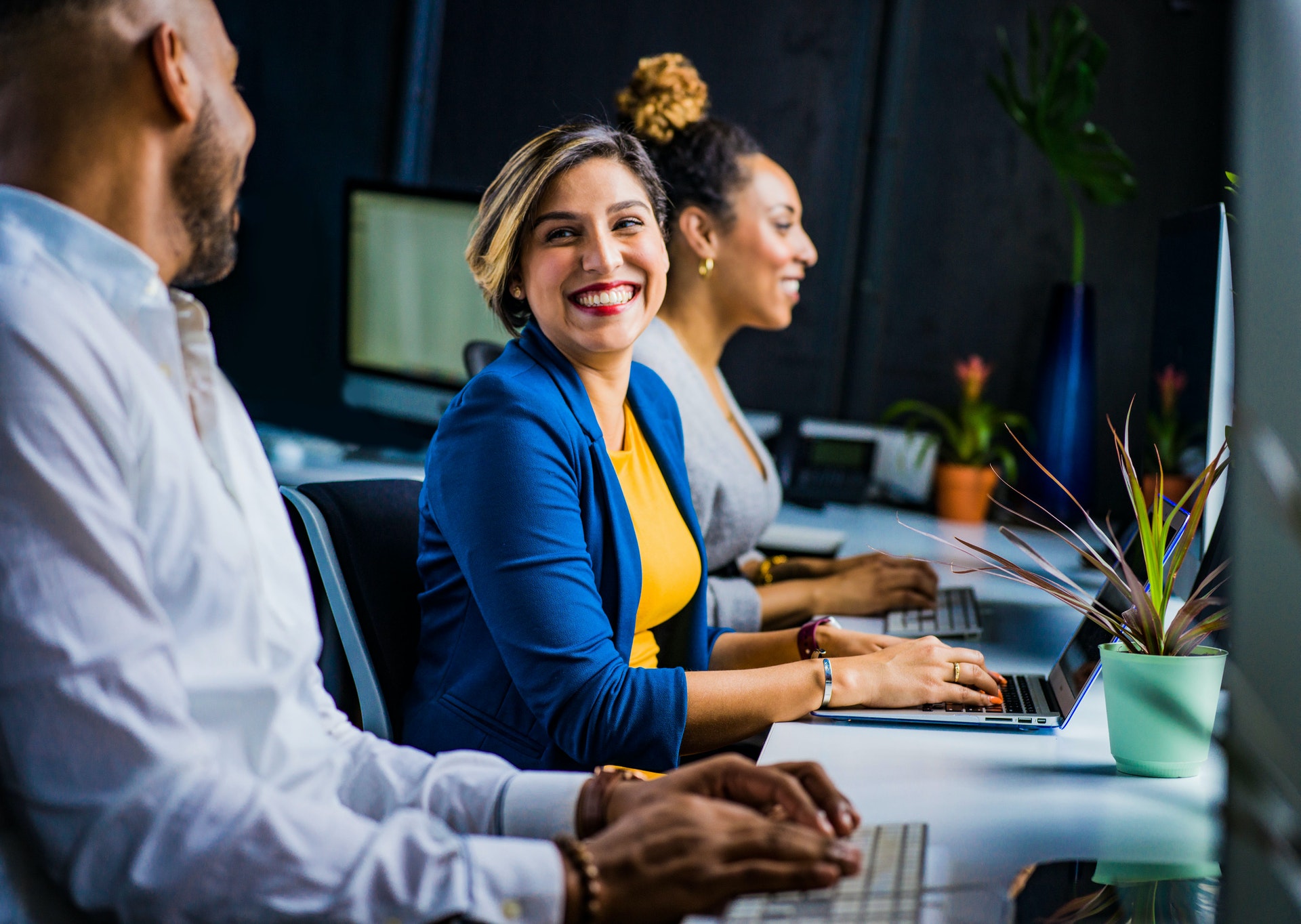 15 Top Undergrad Business Degrees - Bachelors Degree Center