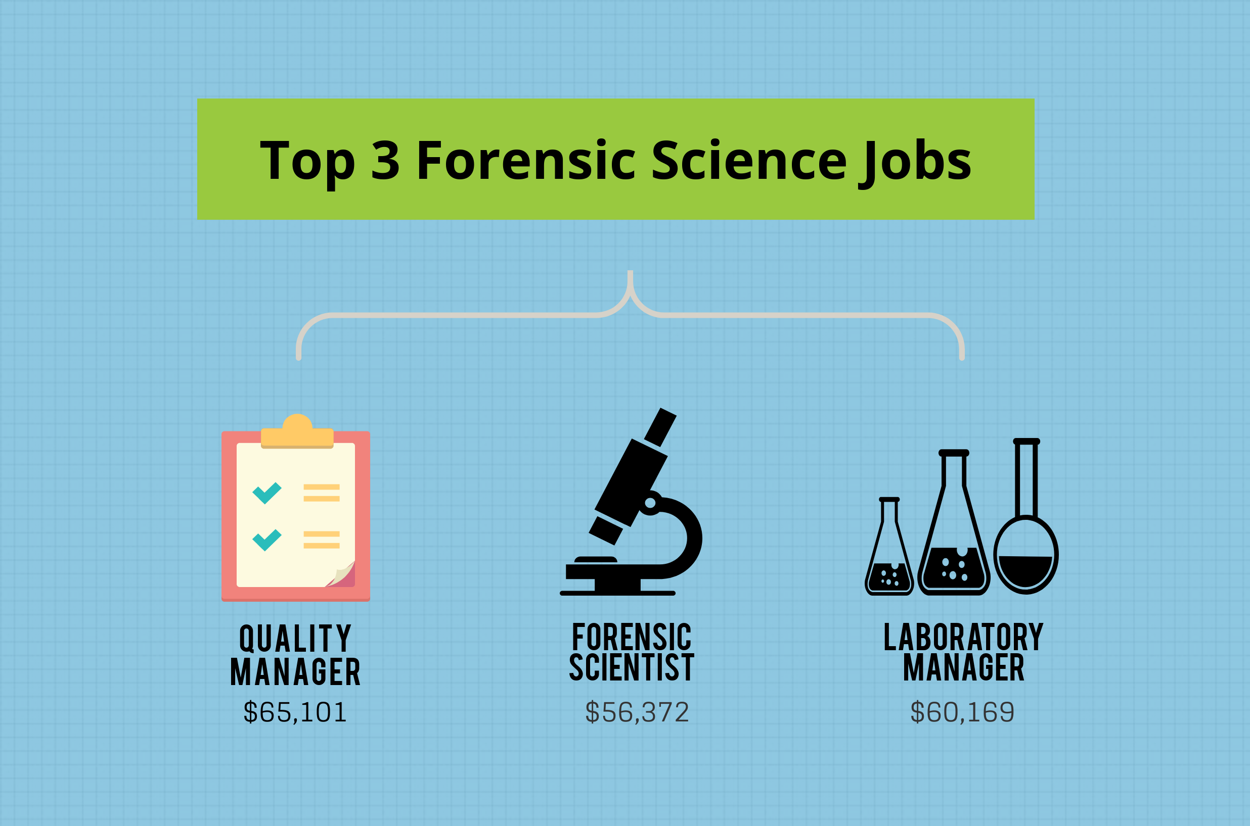 top3-forensic Science Jobs - Bachelors Degree Center top3-forensic Science Jobs - Bachelors Degree Center