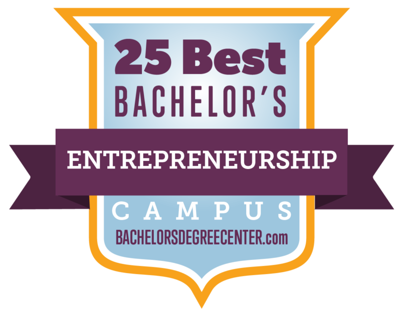 25 Best Bachelors In Entrepreneurship