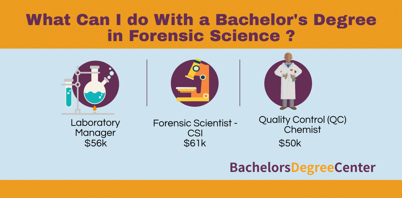 What Can I Do with a Crime Scene Investigation Degree? - Bachelors ...