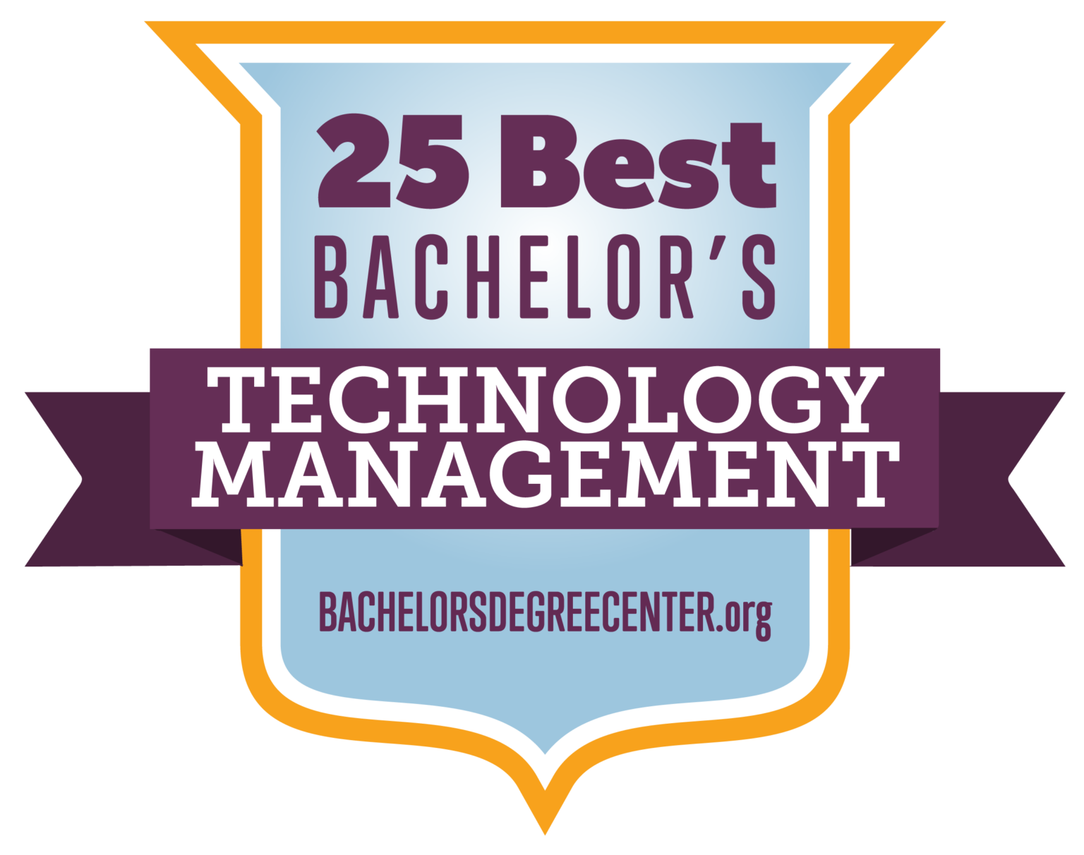 25 Best Bachelor's in Technology Management