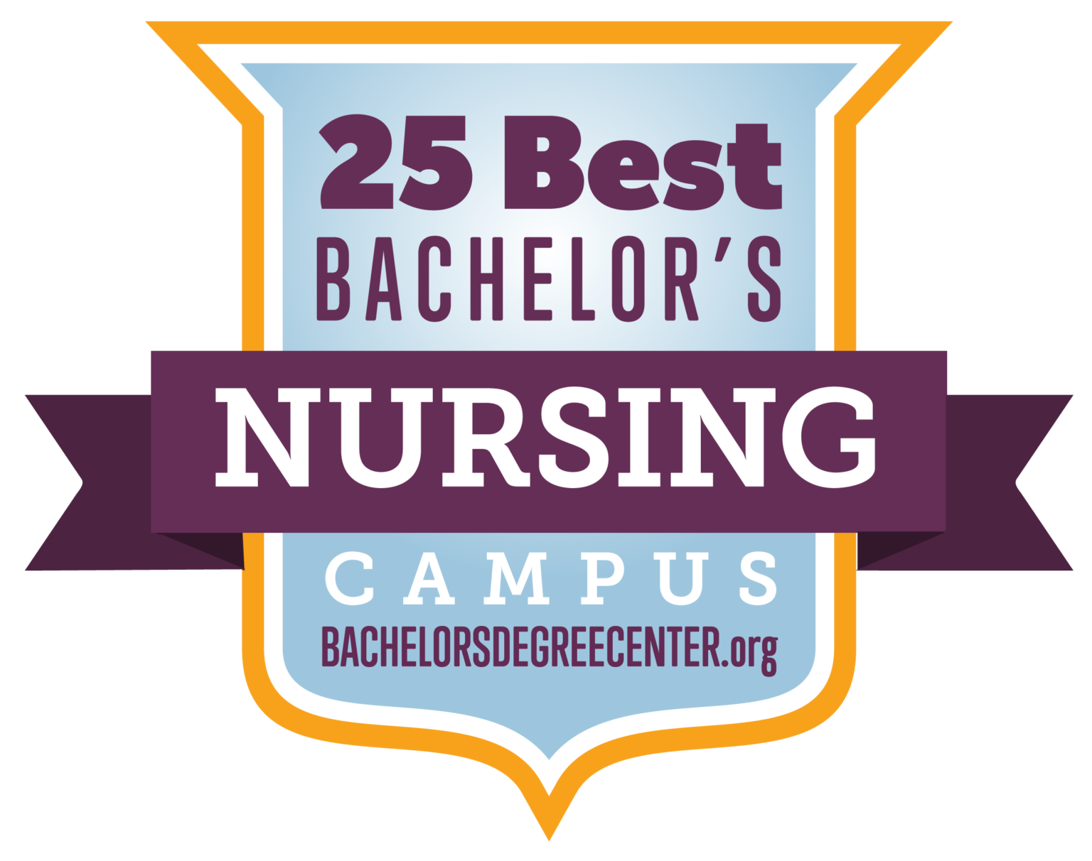 25 Best Bachelor's in Nursing